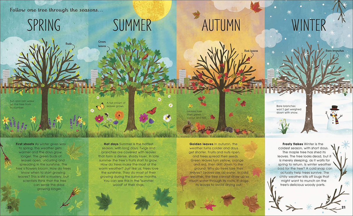 The Magic & Mystery of Trees; Jen Green – The Secret Bookstore